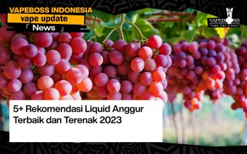 5+ Rekomendasi Liquid Anggur Terbaik dan Terenak 2023 » Vapeboss Indonesia